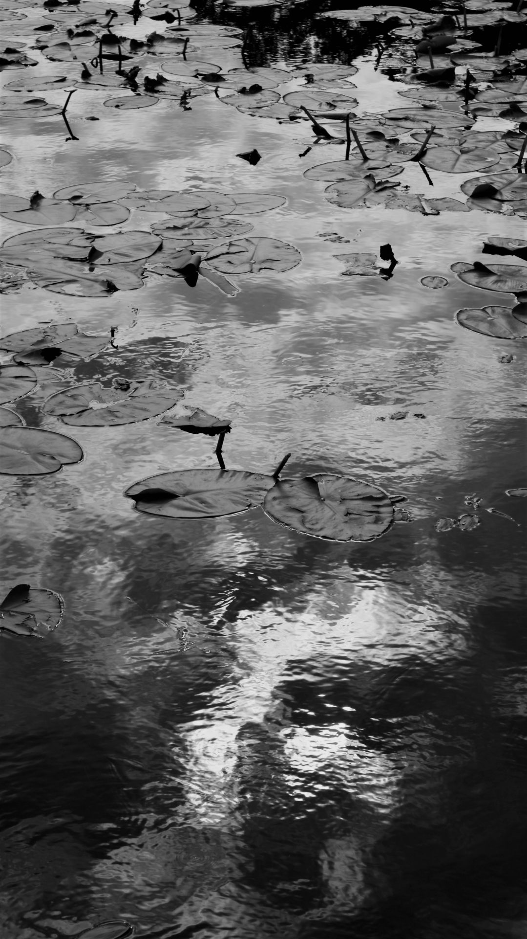 Day of Prayer and Reflection - Duluth Benedictines